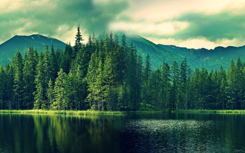 Photoshop project: Seamless Background | LBMS Media Lab